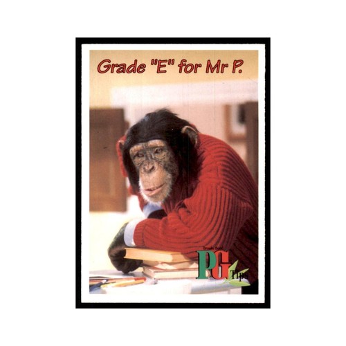 1995 PG Tips The Secret Diary of Kevin Tipps October 9 #nan | eBay