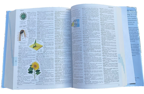 1998 DK ILLUSTRATED OXFORD DICTIONARY HARDCOVER REFERENCE BOOK 1008 ...