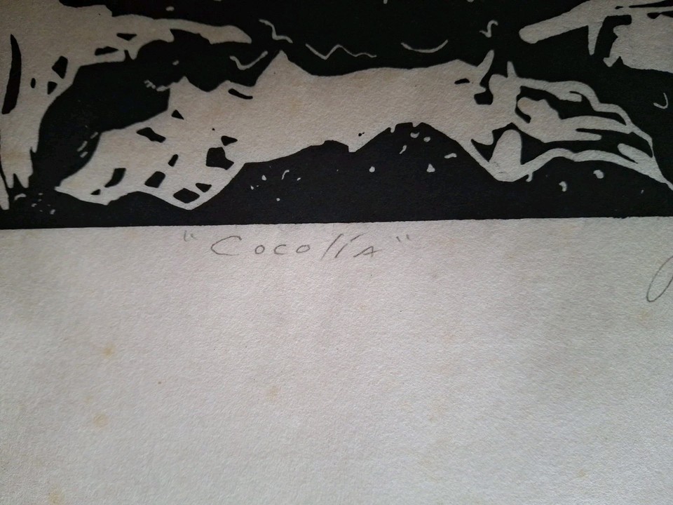 "Cocolía" Jorge Zeno, Signed & Numbered 4/25 Woodcut, Grabado Puerto ...