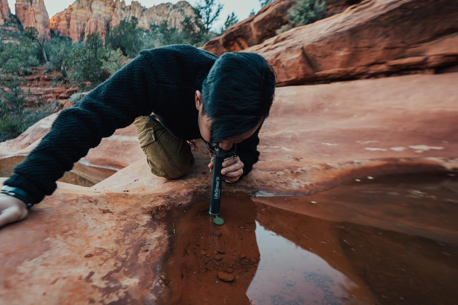 LifeStraw Personal Water Filter for Hiking Camping Travel Emergency ...