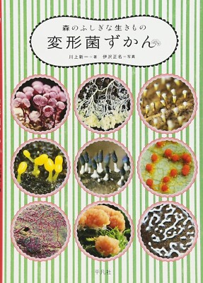 The mysterious creature of the forest: the deformed fungus illustrated ...