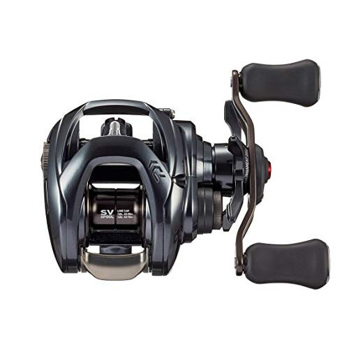 Daiwa Bait Reel 20 TATULA SV TW Tatula (Right / Left Handle) (2020 ...