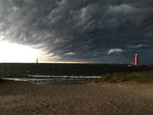 Westside Pickers | eBay Stores