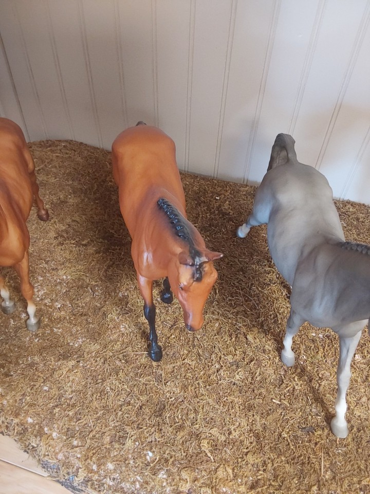 breyer classic size SR 1987 sears US Olympic Team HTF Rare EUC | eBay