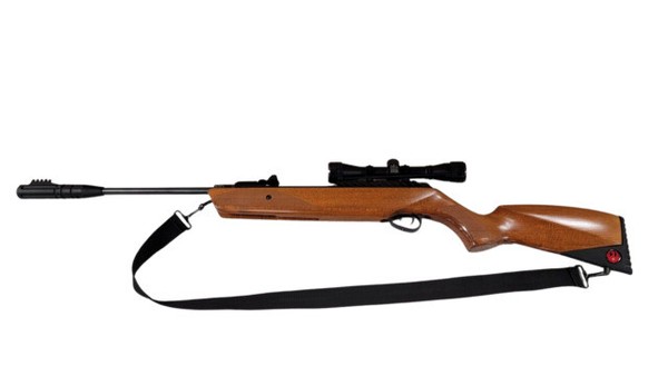 Ruger Impact Max Elite .22 Cal Air Rifle for sale online | eBay
