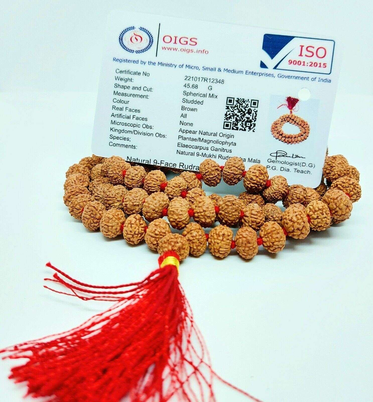 9 Mukhi Rudraksha Mala Nine 9 Face Rudrakh 6 mm To 8 mm Bead Energized ...