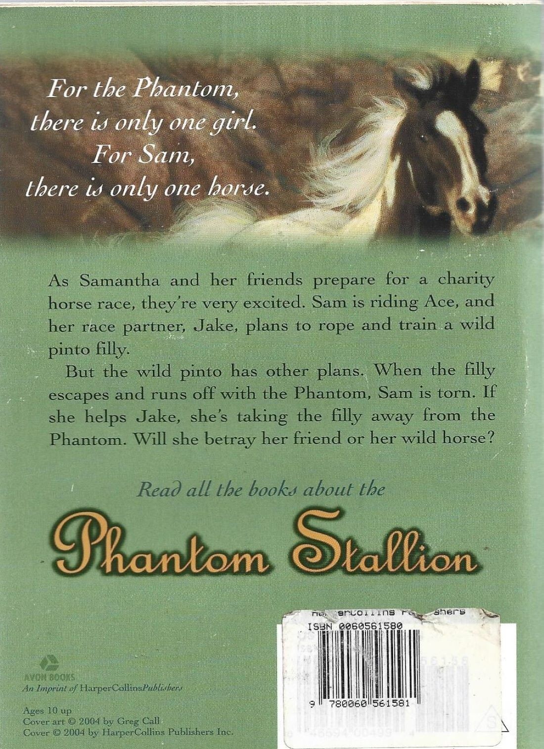 PHANTOM STALLION #10 ~ RED FEATHER FILLY ~ Terri Farley ~ PB 2003: VGC ...