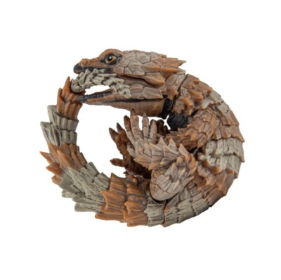1/1 Size Armadillo Girdled Lizard Figure defensive posture Gray So-Ta ...