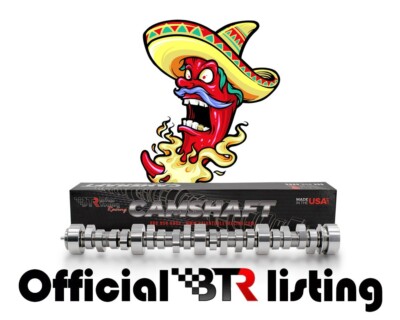 BTR Red Hot Camshaft Kit for LS Engines | eBay