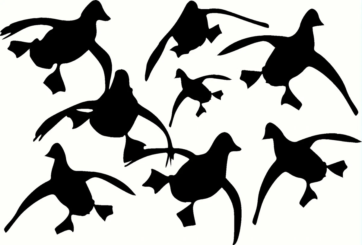 Goose Hunting Decals