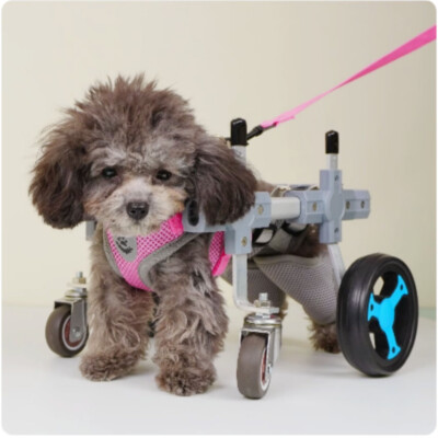Dog Wheelchair 4 Wheels Small/Medium Pet Trolley For Dogs | eBay