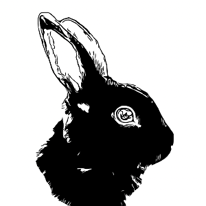 Proud Rabbit | eBay Stores