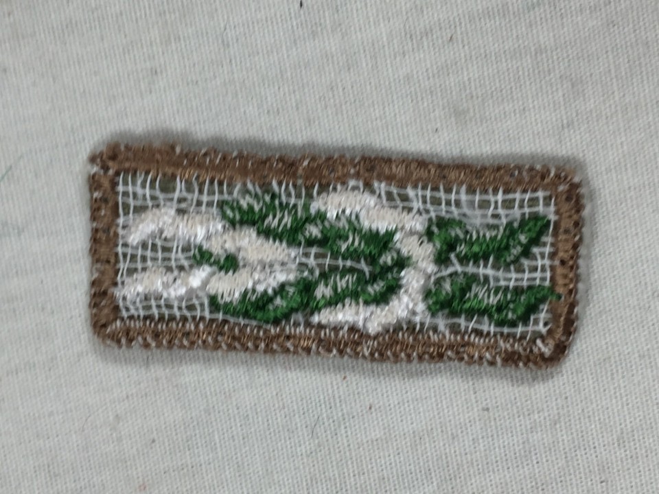 Scouter's Key Award knot khaki gauze back BSA Patch | eBay