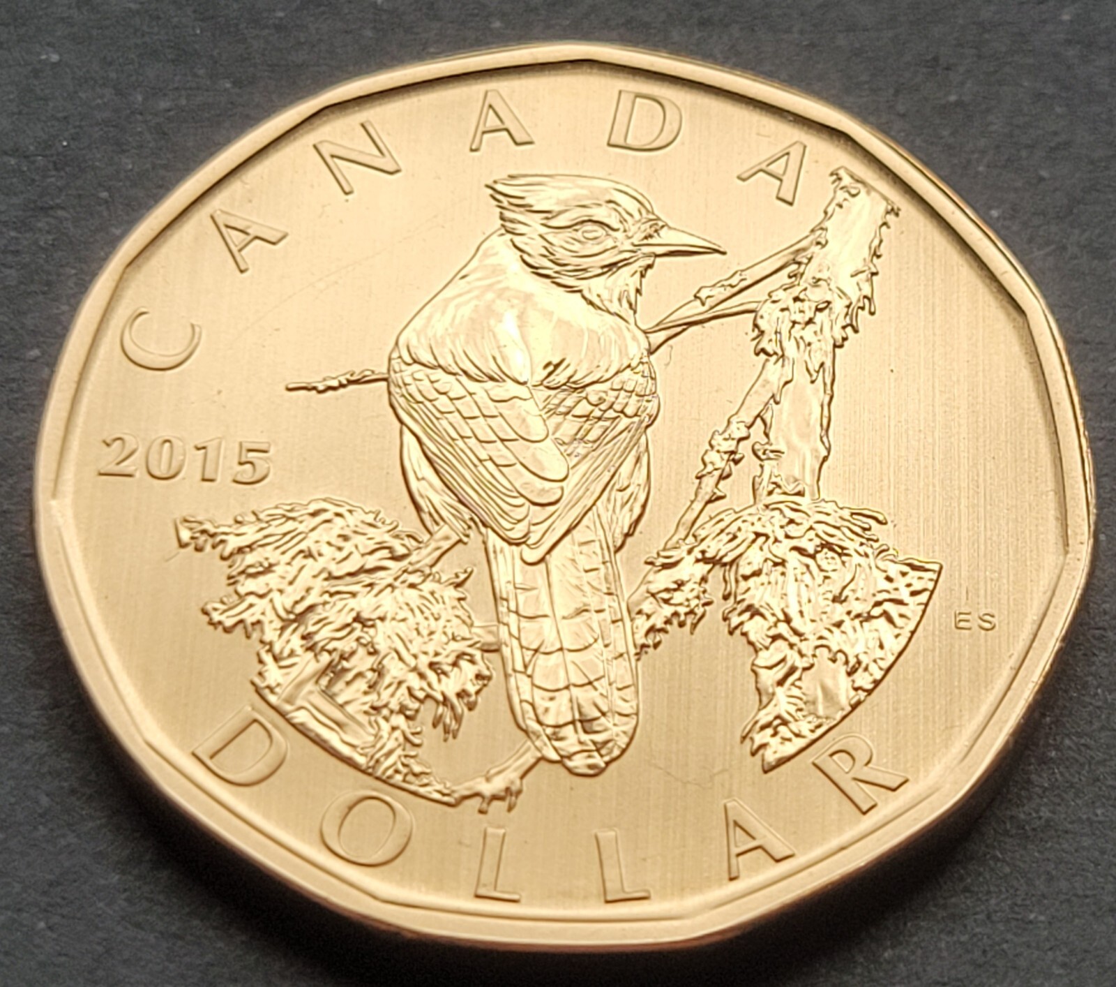 CANADA LOONIE 2015 *** SPECIMEN *** SPECIMEN BLUE JAY *** | eBay