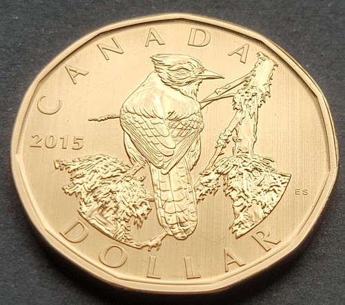 CANADA LOONIE 2015 *** SPECIMEN *** SPECIMEN BLUE JAY *** | eBay