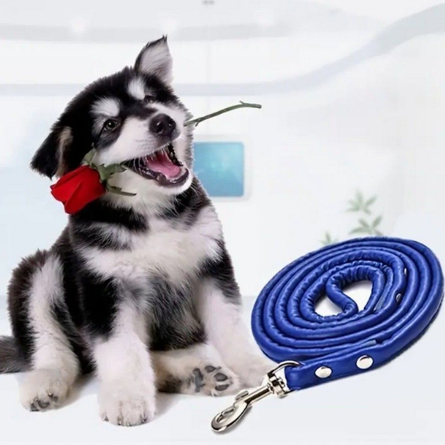 Xander Rey Dark Blue Leather Dog Leash Gift Packaged | eBay