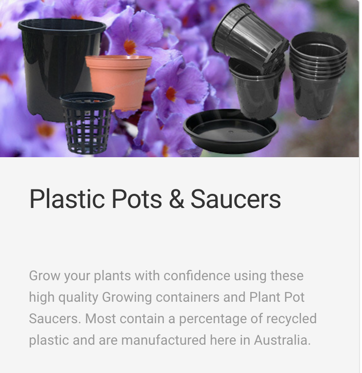 100mm Squat Plant Pot Black - QTY 952 (2 x FULL BOX) Cactus, Succulents ...