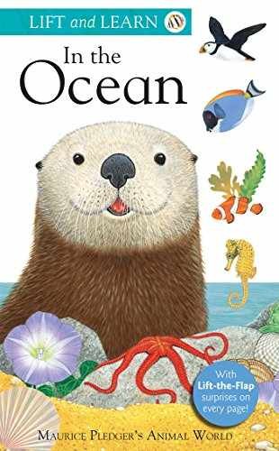 Lift and Learn: In the Ocean (Lift & Learn) - Board book, by Wood A. J ...