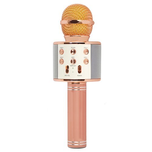 Xtreme Hollywood Microphone De Karaoké Rose Gold 8025023040347 | eBay