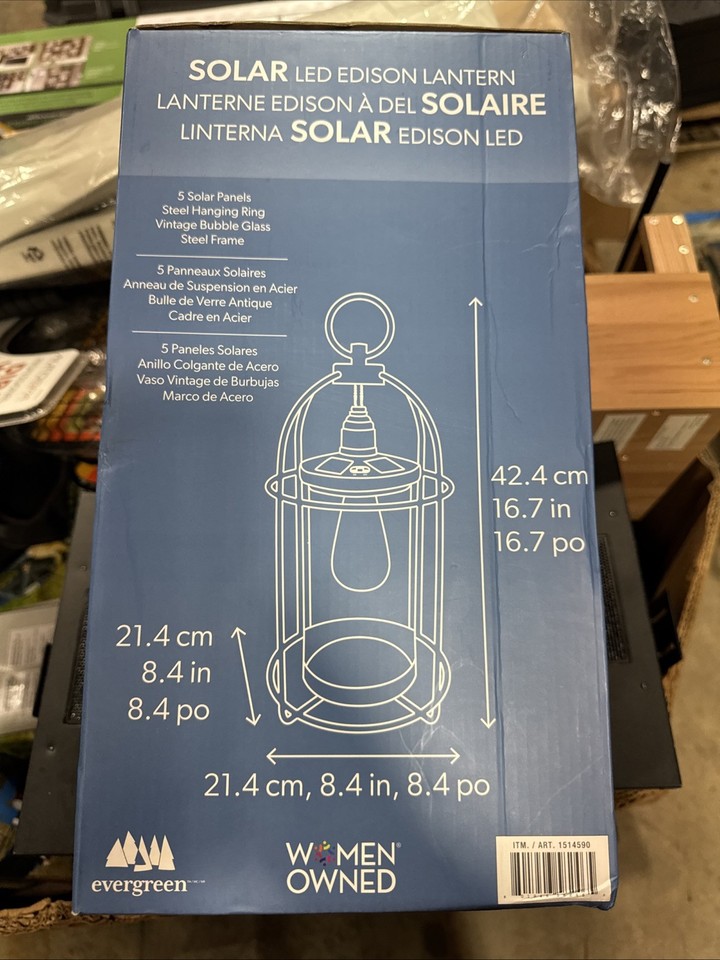 Evergreen Enterprises Solar LED Edison Lantern | eBay
