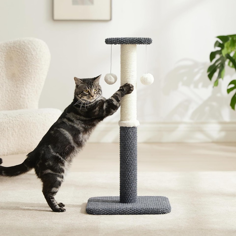 Cat Scratching Post for Indoor Cats - 29in Highly Resistant Carpet ...