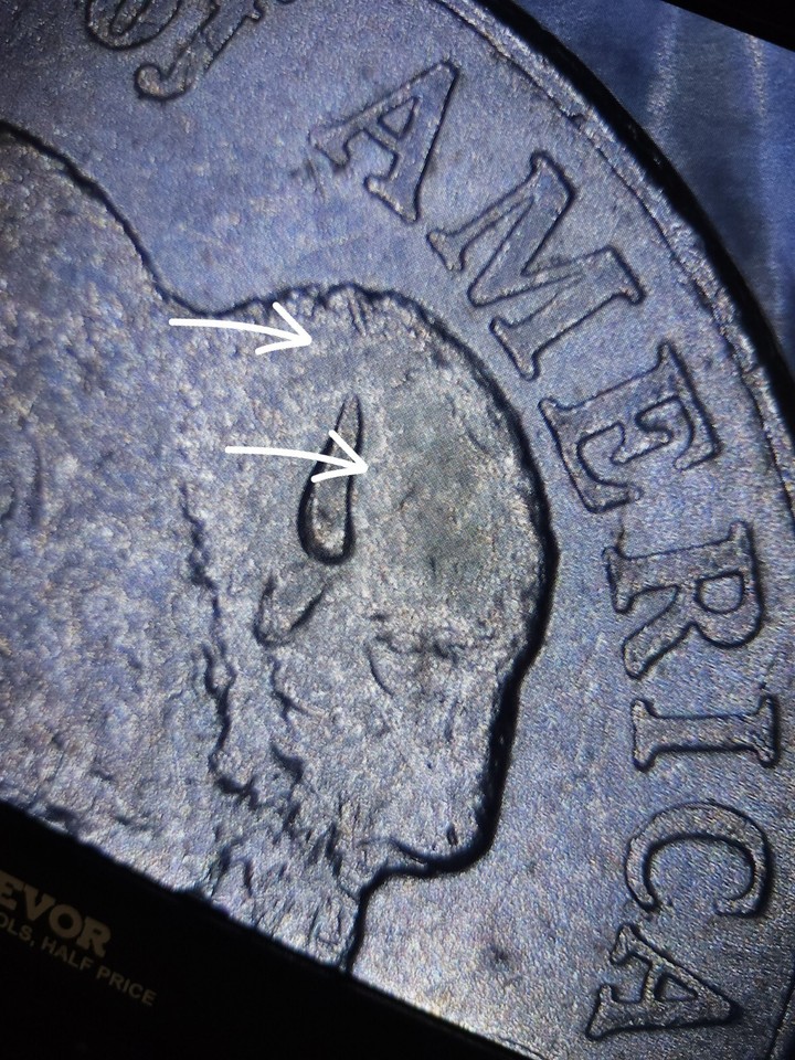 2005-D 5c " SPEARED BISON " Nickel | eBay