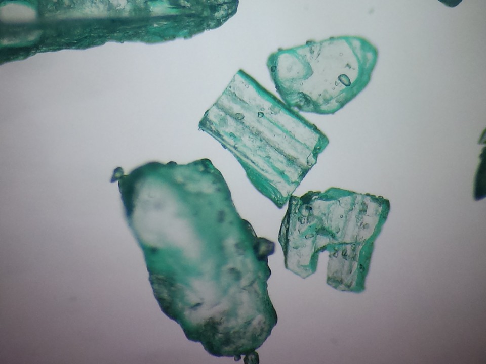 Microscope 32mm Mini-Rheinberg Green Filter Set - Great To Start Or To ...