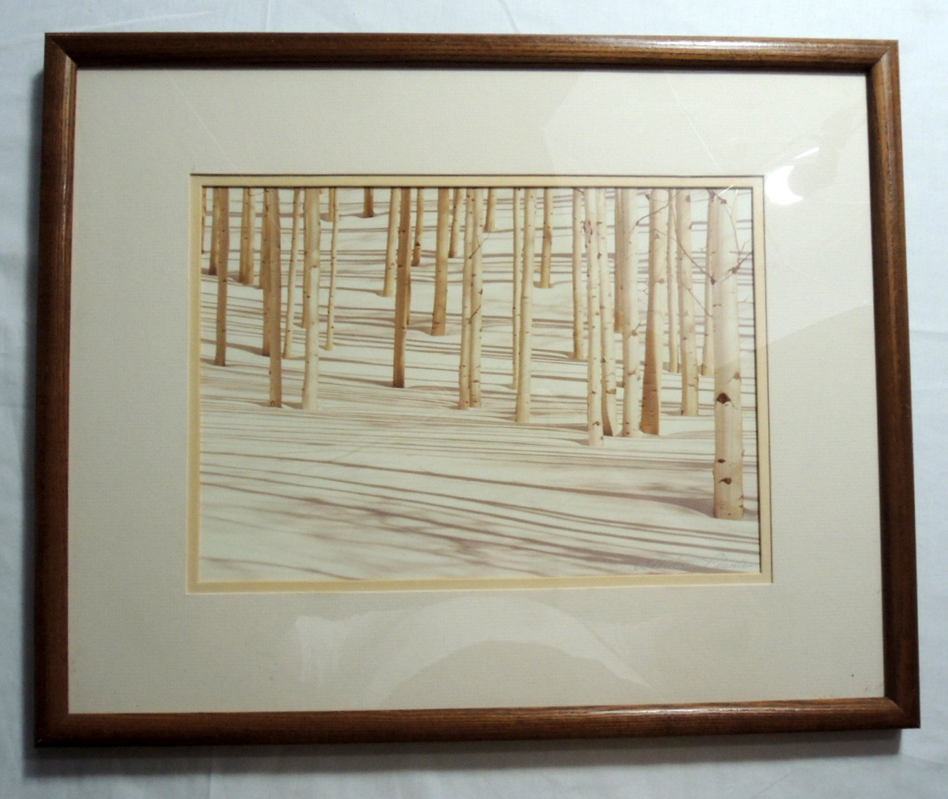 Signed Photograph - Forest Scene - Birch Trees In Snow by William ...