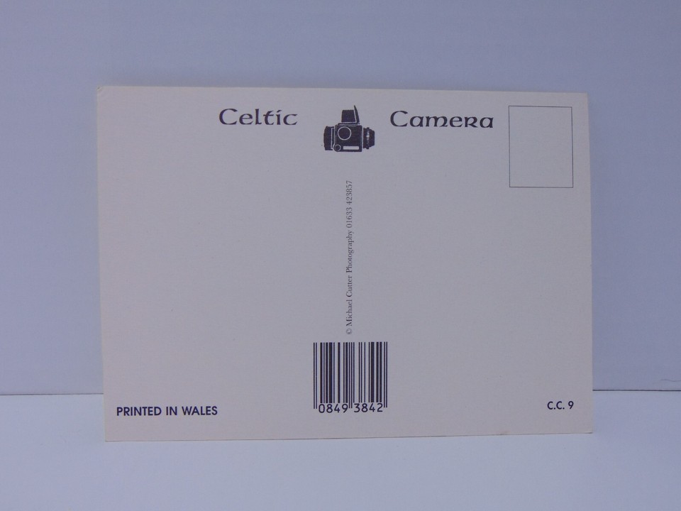 Celtic Camera Cardiff Castle Wales Postcard | eBay