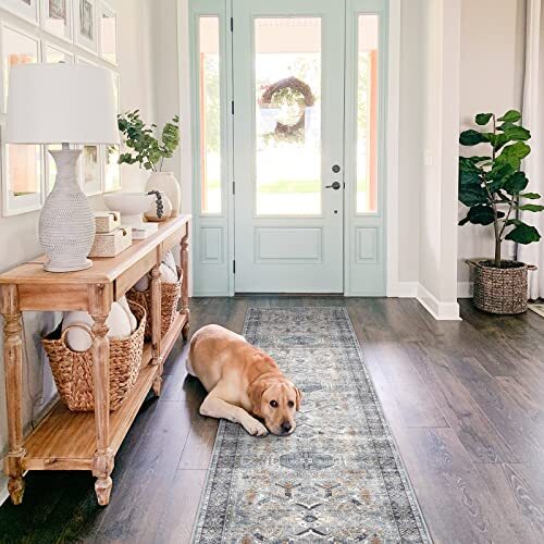 Washable Kitchen Runner Rug - 2x10 Hallway Rug Distressed Mats Non 2 x ...