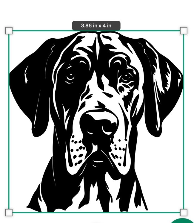 New Great Dane Dog Decal Sticker Black or White Permanent Vinyl ...