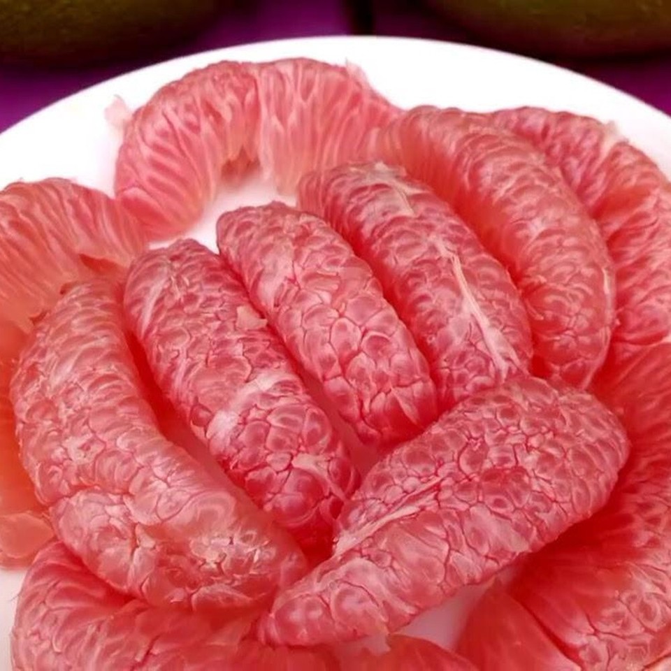 Red Pomelo (Round Fruit) Grafted Plant Fruit Tree Tropical Unique ...