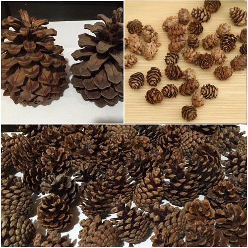 Decor Xmas Tree Decoration Hanging Ornaments Natural Dried Flowers Pine Cones | eBay