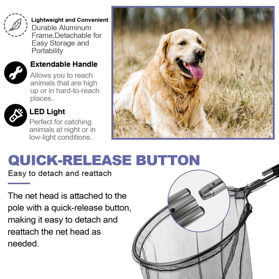 Animal Catcher Net, Dog Catching Net, Animal Catch Pole Tools for ...