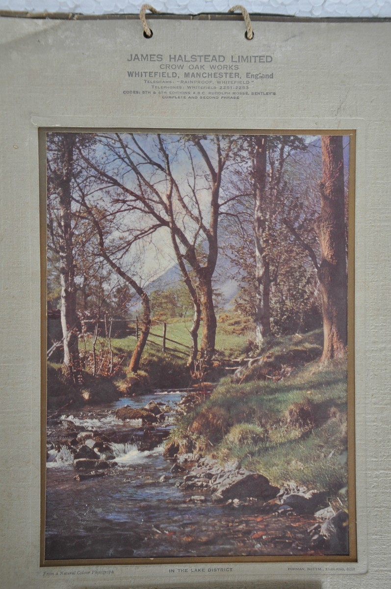 James Halstead Logo James Halstead | Flickr