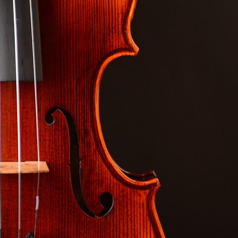 Beautiful 1pc piece Bird Eyes Maple! A Strad model Violin 4/4 clear ...