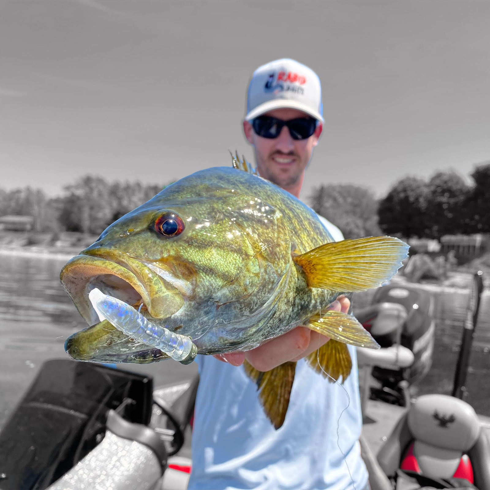 Rabid Baits Fox Tail Soft Plastic Bait, Ned Rig Bait for Freshwater ...