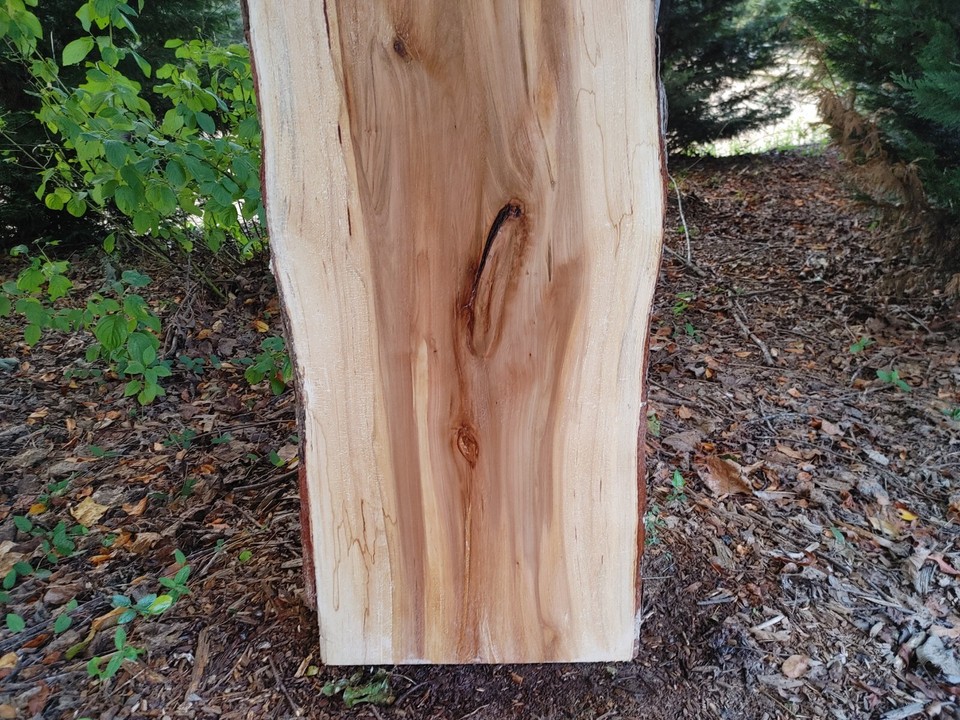 Red Gum slab (thick slab) (Live Edge) | eBay