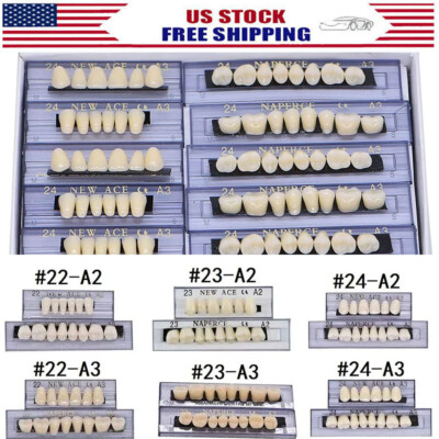 168X Acrylic Resin A1/A2/A3 Dental Denture Teeth Upper Lower Shade 22 ...