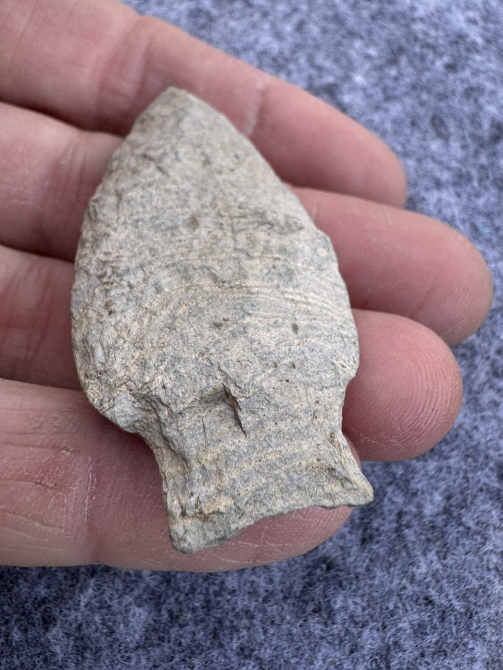 Bare Island projectile point (Virginia arrowhead) COA Williams | eBay