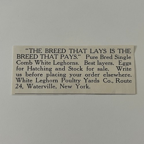 White Leghorn Poultry Yards Co. Waterville NY 1908 Magazine Ad SAH1-S4 | eBay