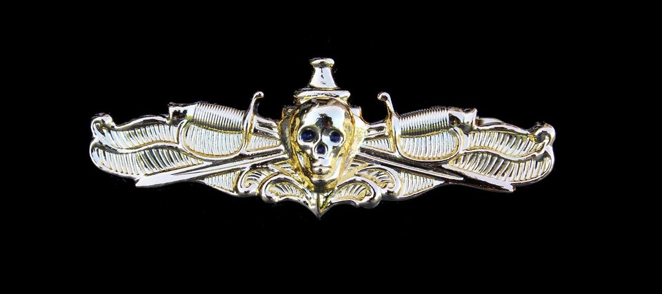 US Navy Surface Warfare Officer Skull Badge USN SWO Insignia Naval ...