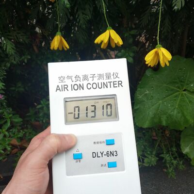Mini Air Ion Checker Meter Counter Negative Anion Concentration ...