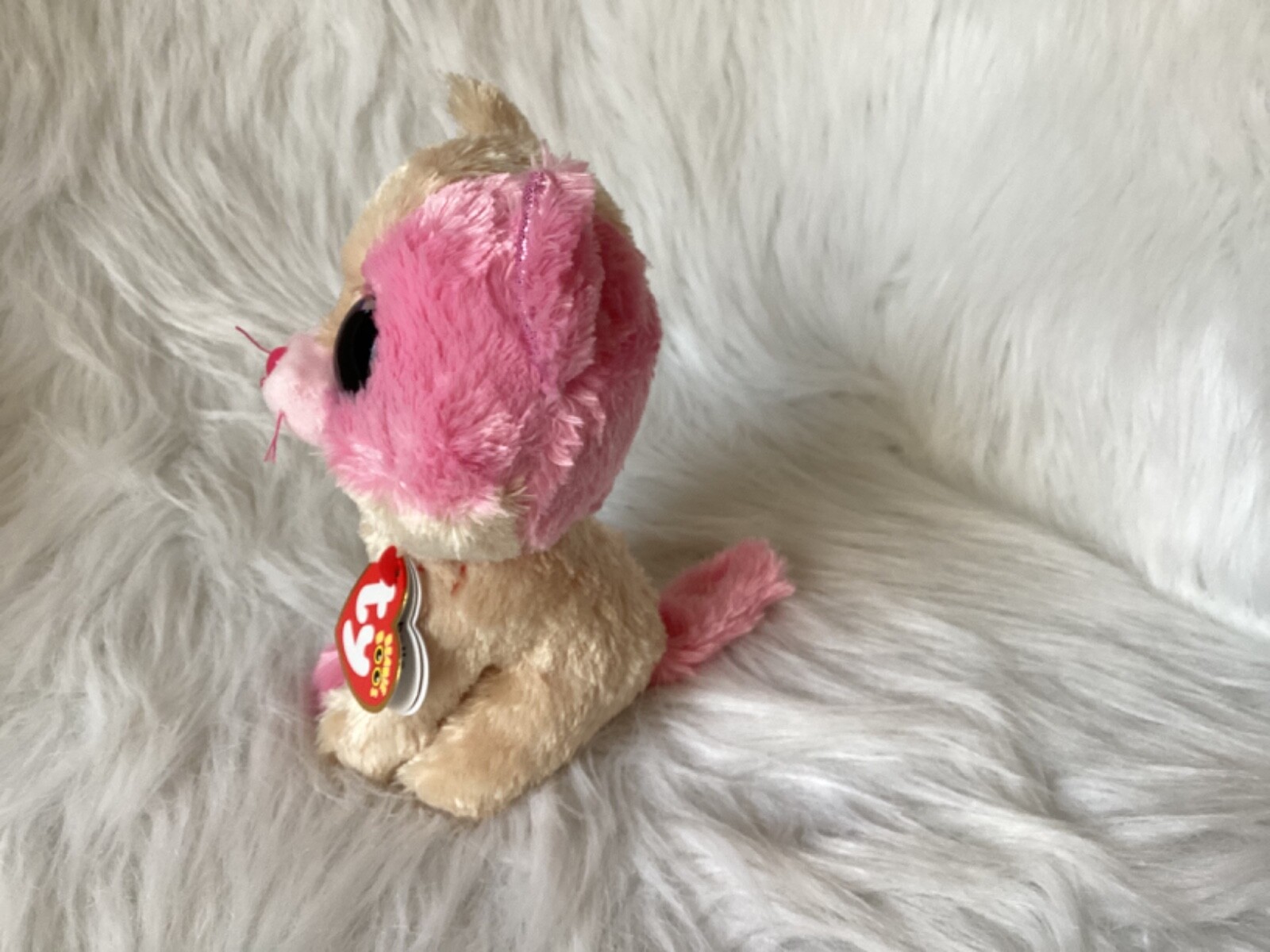 TY BEANIE BOOS ANABELLE THE CAT 6” BARNES & NOBLE - MWMT- RARE | eBay