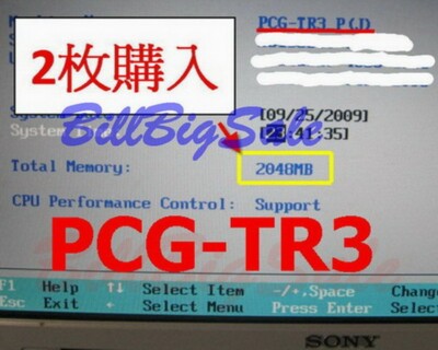 (2GB RAM)=1GB +1GB SONY VAIO PCG U101 TR1 TR2 TR3 TR5 MicroDIMM DDR-333 ...