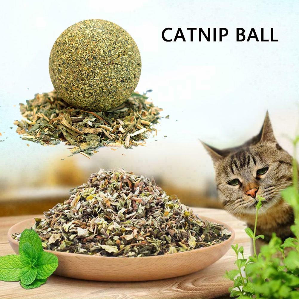 1/5/10PCS Cat Snack Catnip Ball Lick Nutrition Ball Catnip Help Toys ...