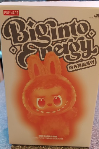 Labubu ( DUPE ) Big Into Energy Vinyl Figure – NEW IN BLIND BOX | eBay