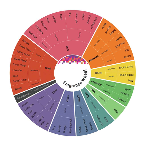 Euphoria by Calvin Klein Eau De Parfum Spray 3.3 oz / e 100 ml ...