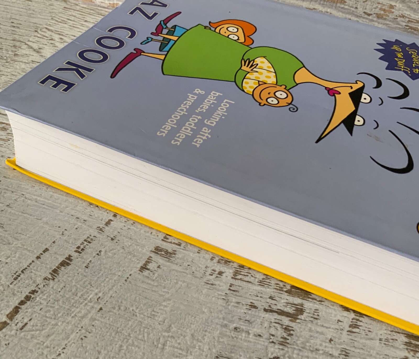 KIDWRANGLING by Kaz Cooke (2010) Babies Toddlers - Babycare Book Kid ...