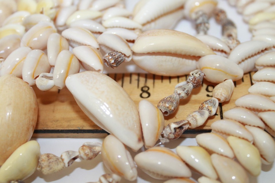 Vtg Cowrie Shell Trivet Seashell Table Decoration Ocean Beach House ...